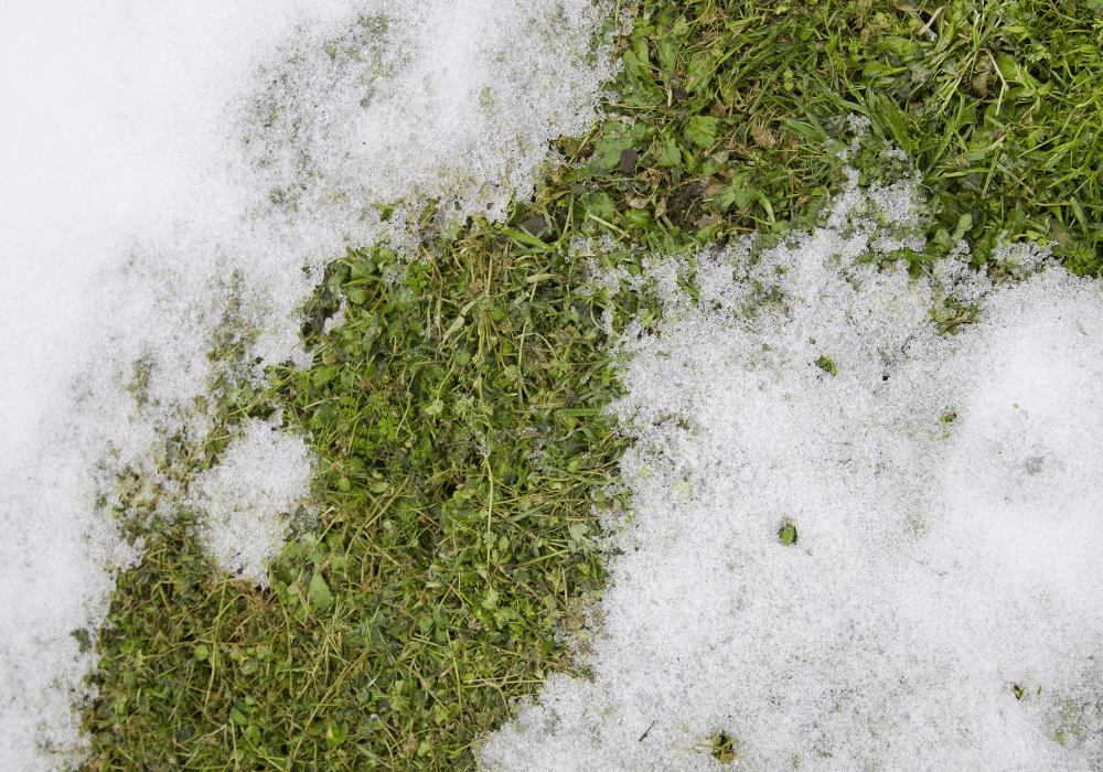 Outdoor Waterproofing: Securing Your Property Against Spring Thaw Leaks ...