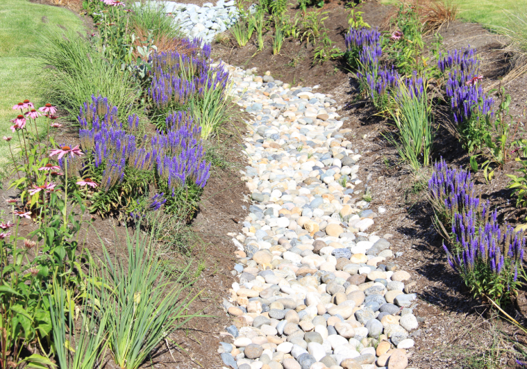 Why Drainage Solutions Are Essential for Landscaping Projects ...