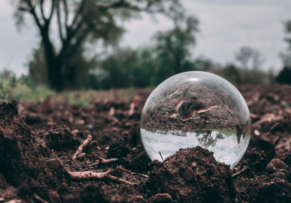 How to Prevent Backyard Flooding With Proper Drainage Solutions ...